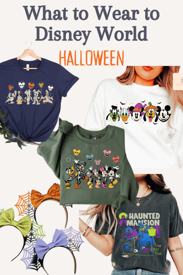 What to Wear to Disney World in October: Halloween Outfits